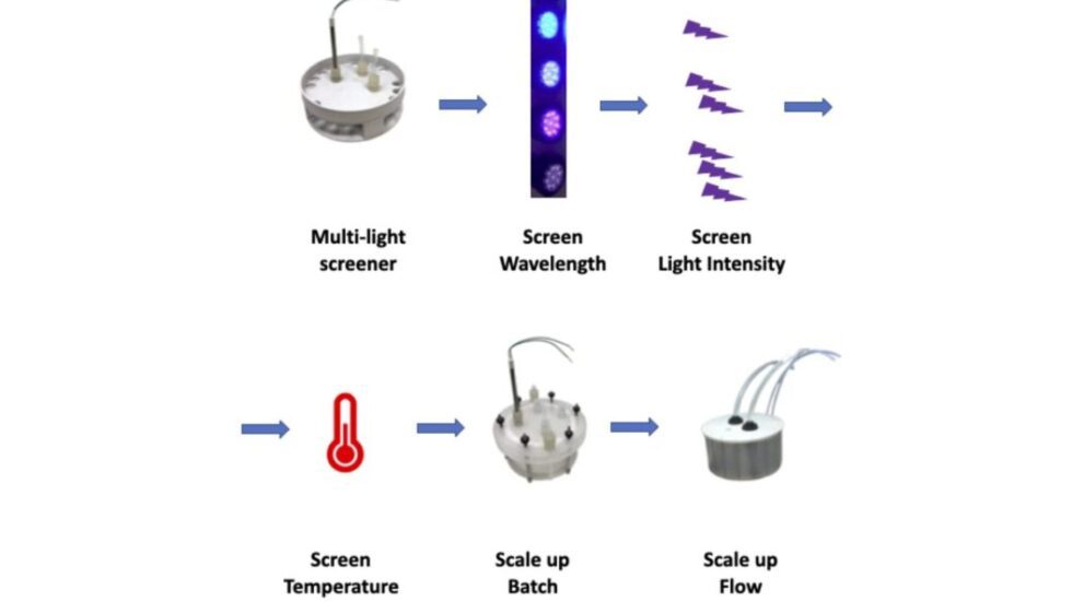 PhotoRedOx Flow Reactor - HepatoChem